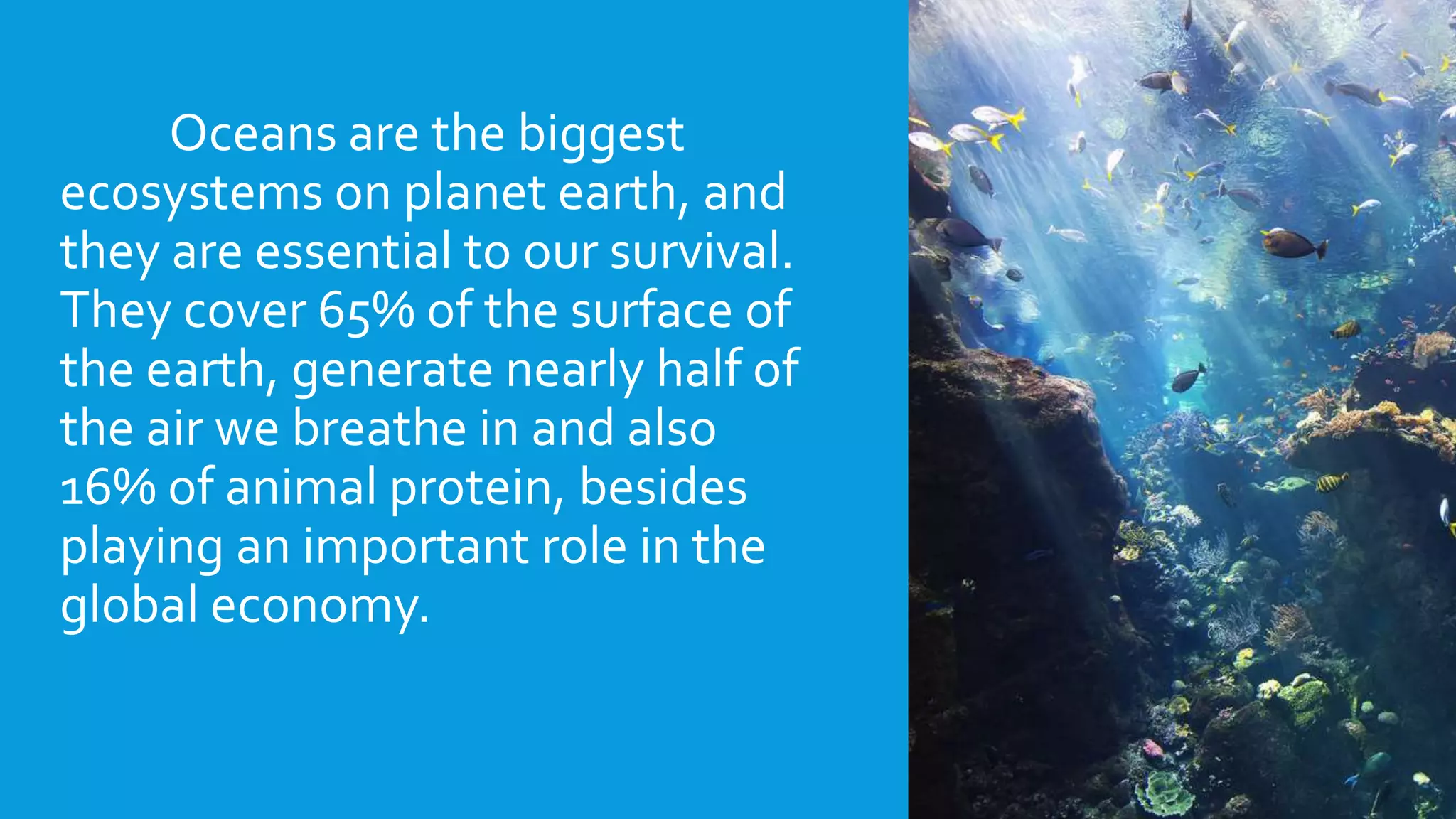 Sustainable development Goal 14: Conserve and sustain the oceans, seas ...