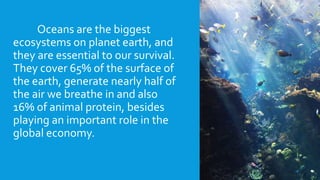 Sustainable development Goal 14: Conserve and sustain the oceans, seas ...
