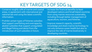 Sustainable development Goal 14: Conserve and sustain the oceans, seas ...