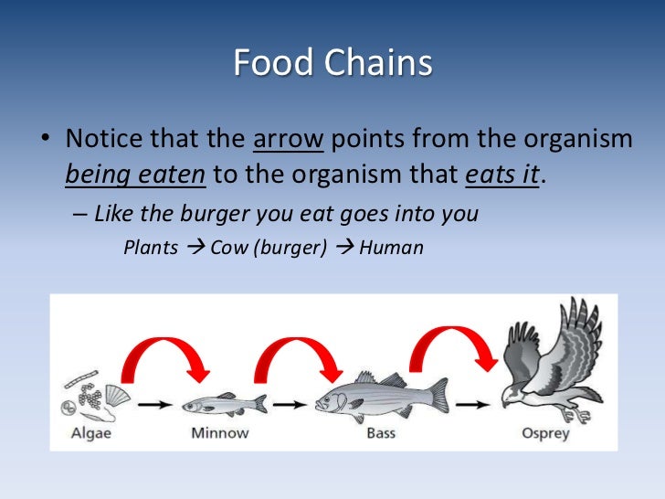 Unit 1 Ecology Powerpoint (Goal 5)