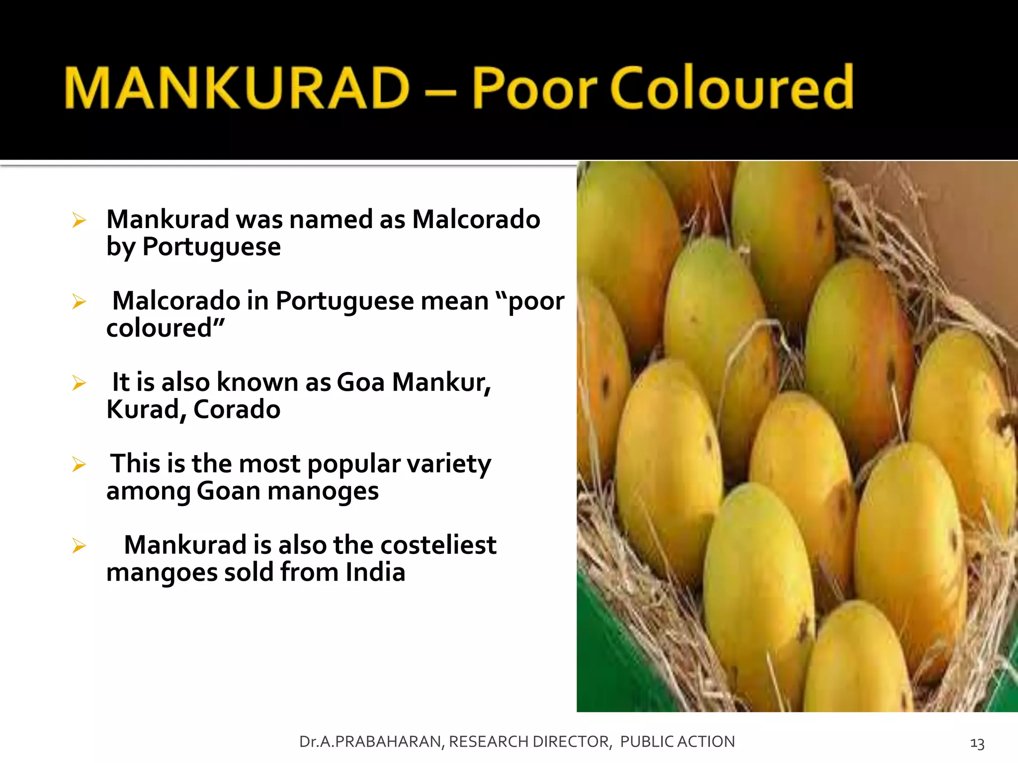 Mangoes of Goa | PPTX