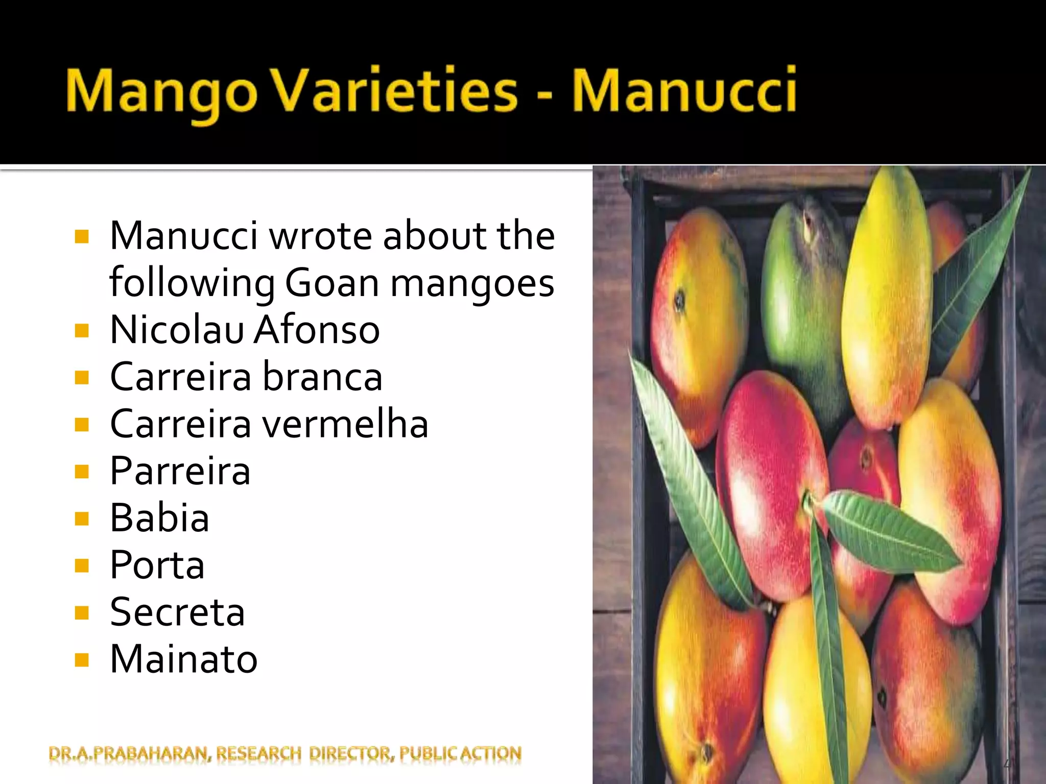 Mangoes of Goa | PPTX