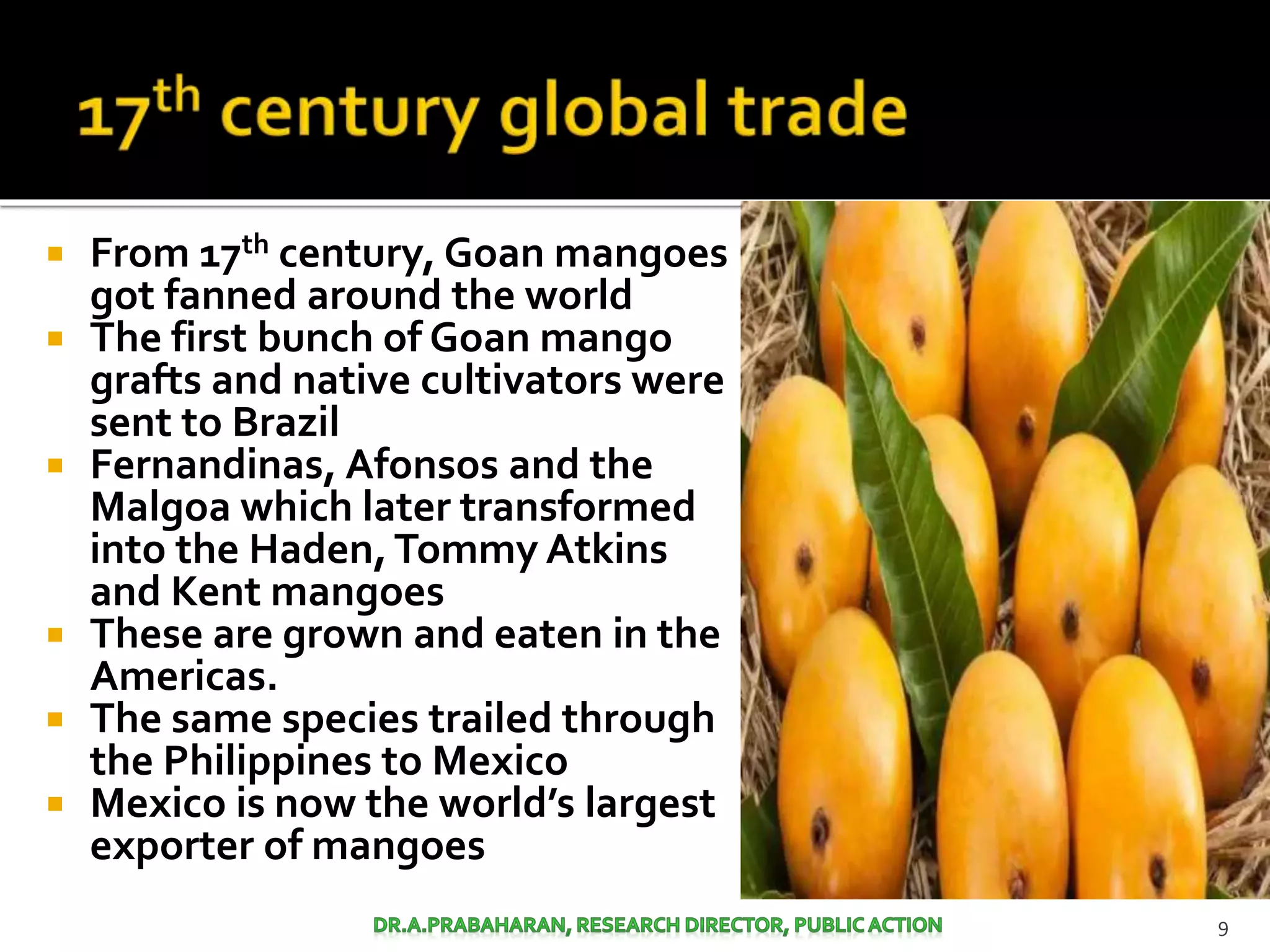 Mangoes of Goa | PPTX