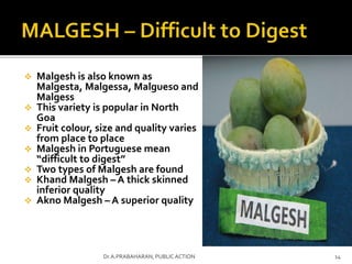 Mangoes of Goa | PPTX