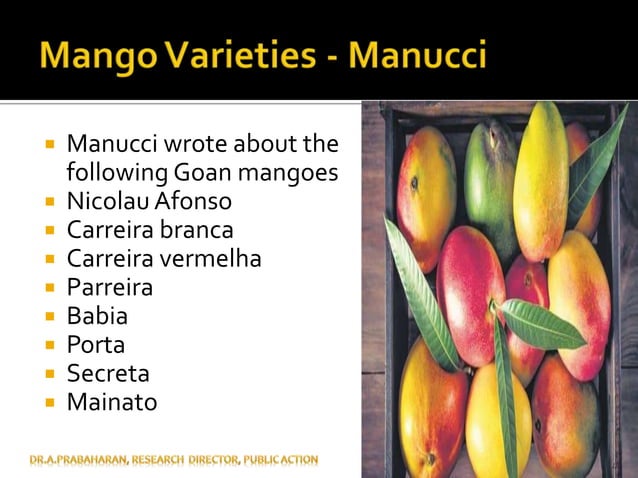 Mangoes of Goa | PPTX | Desserts and Baking | Food & Drink