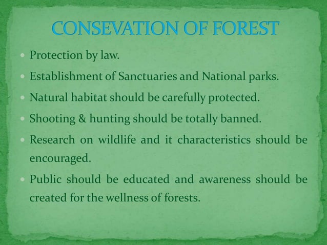 Go around the forest | PPT