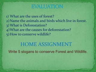 Go around the forest | PPT