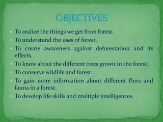 Go around the forest | PPT