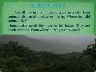 Go around the forest | PPT