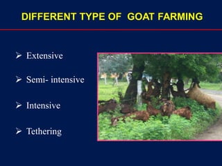 Goat-Farming.pdf