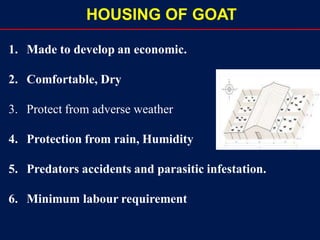 Goat-Farming.pdf