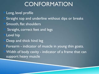 Goat-Production in the Philippines 222.pptx