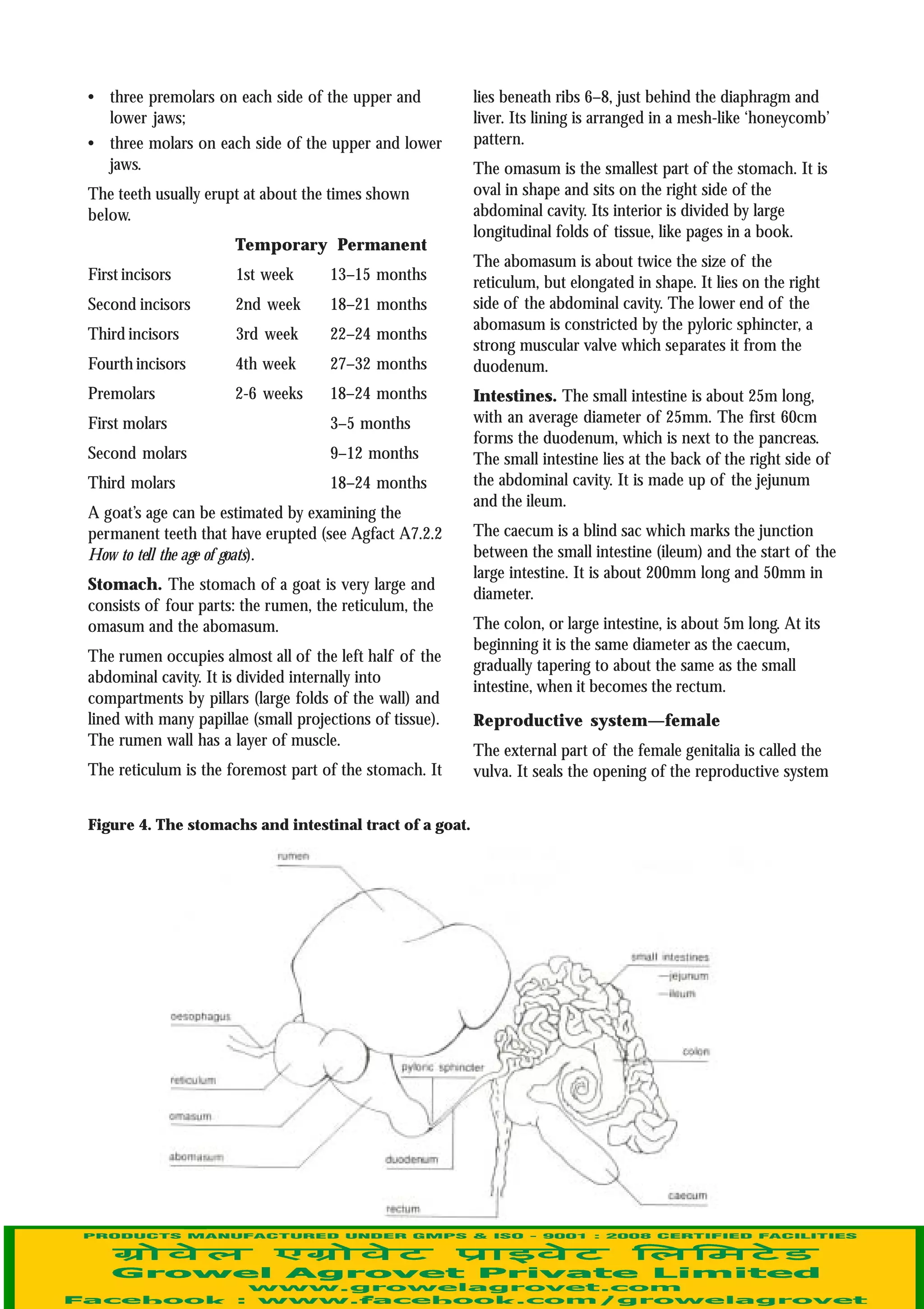 Goat Anatomy & Physiology | PDF | Pregnancy | Reproductive Health