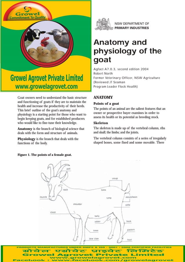 Goat Anatomy & Physiology | PDF | Pregnancy | Reproductive Health
