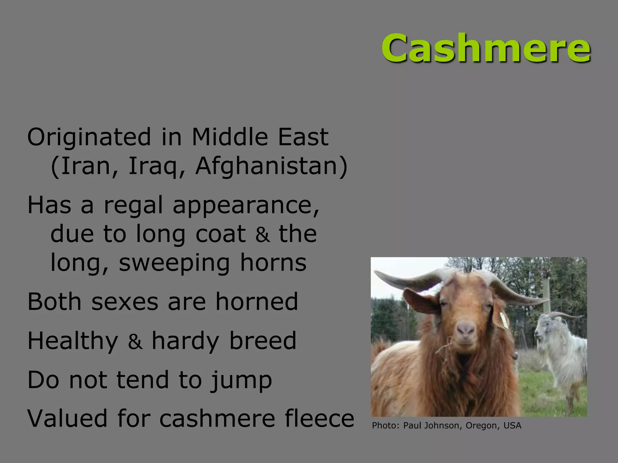 GoatBreeds.ppt