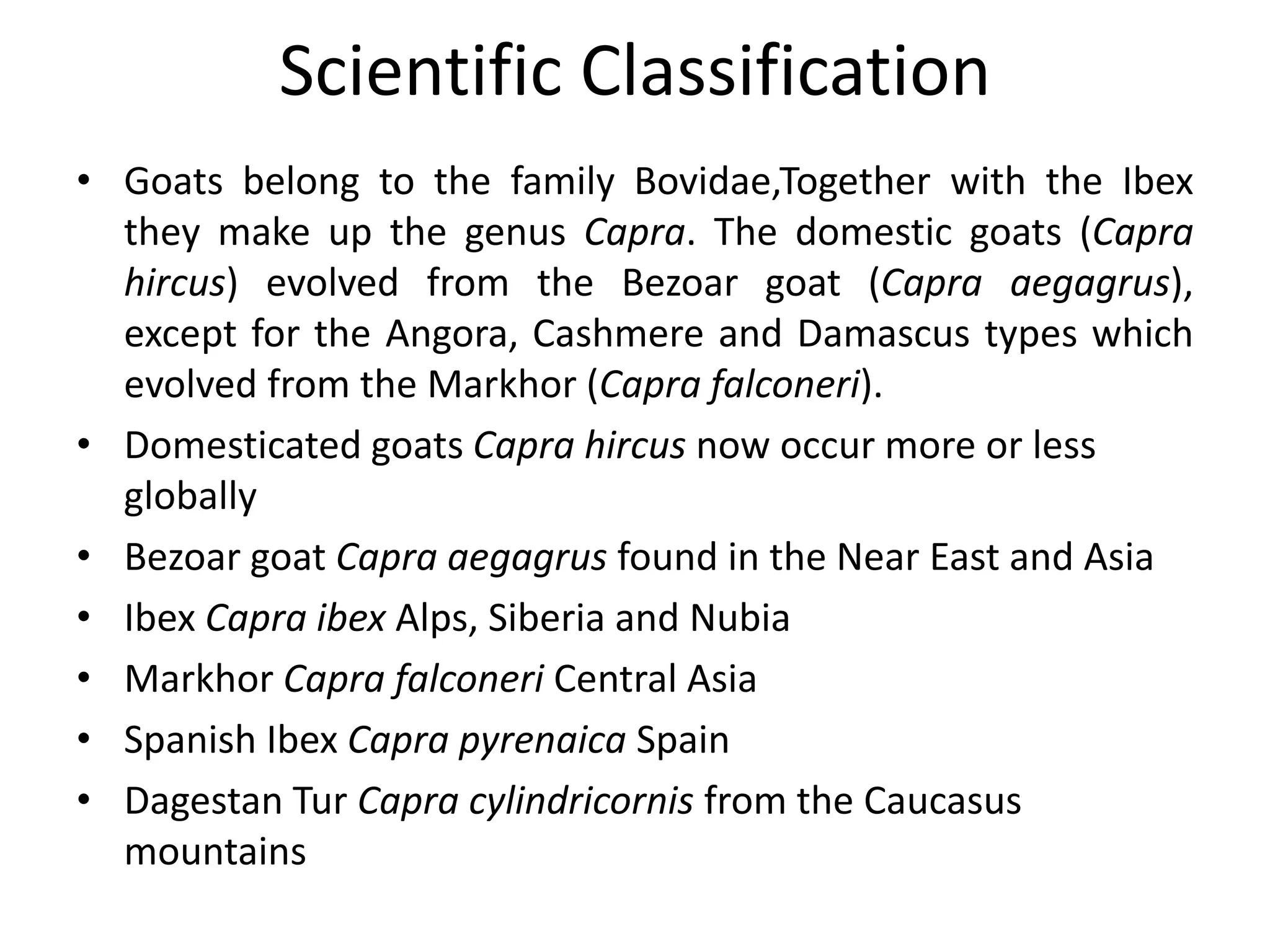 Goat breeds of india history, development and classification | PPTX