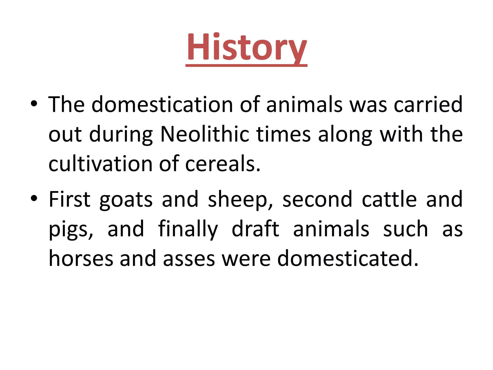 Goat breeds of india history, development and classification | PPTX