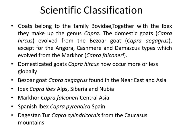 Goat breeds of india history, development and classification | PPTX