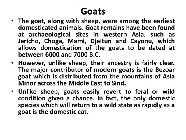 Goat breeds of india history, development and classification | PPTX