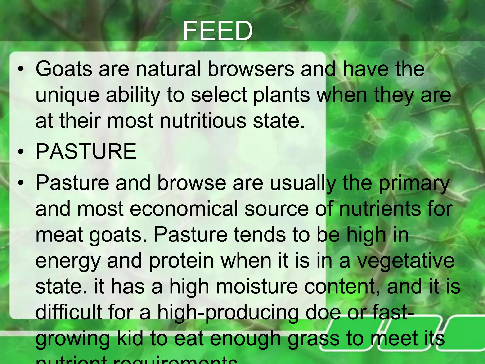 Goat Care And Management Irshad | PPTX