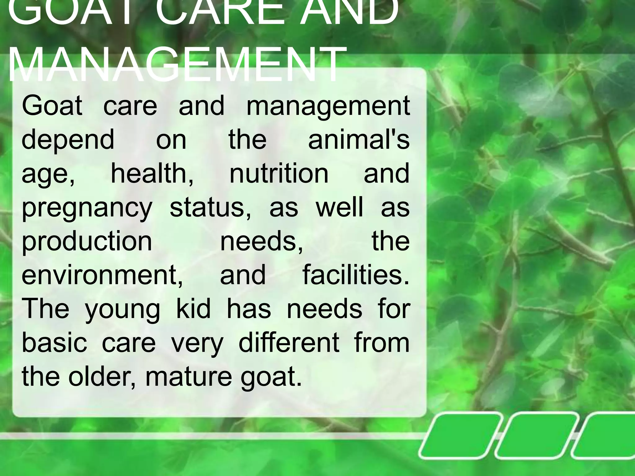 Goat Care And Management Irshad | PPTX