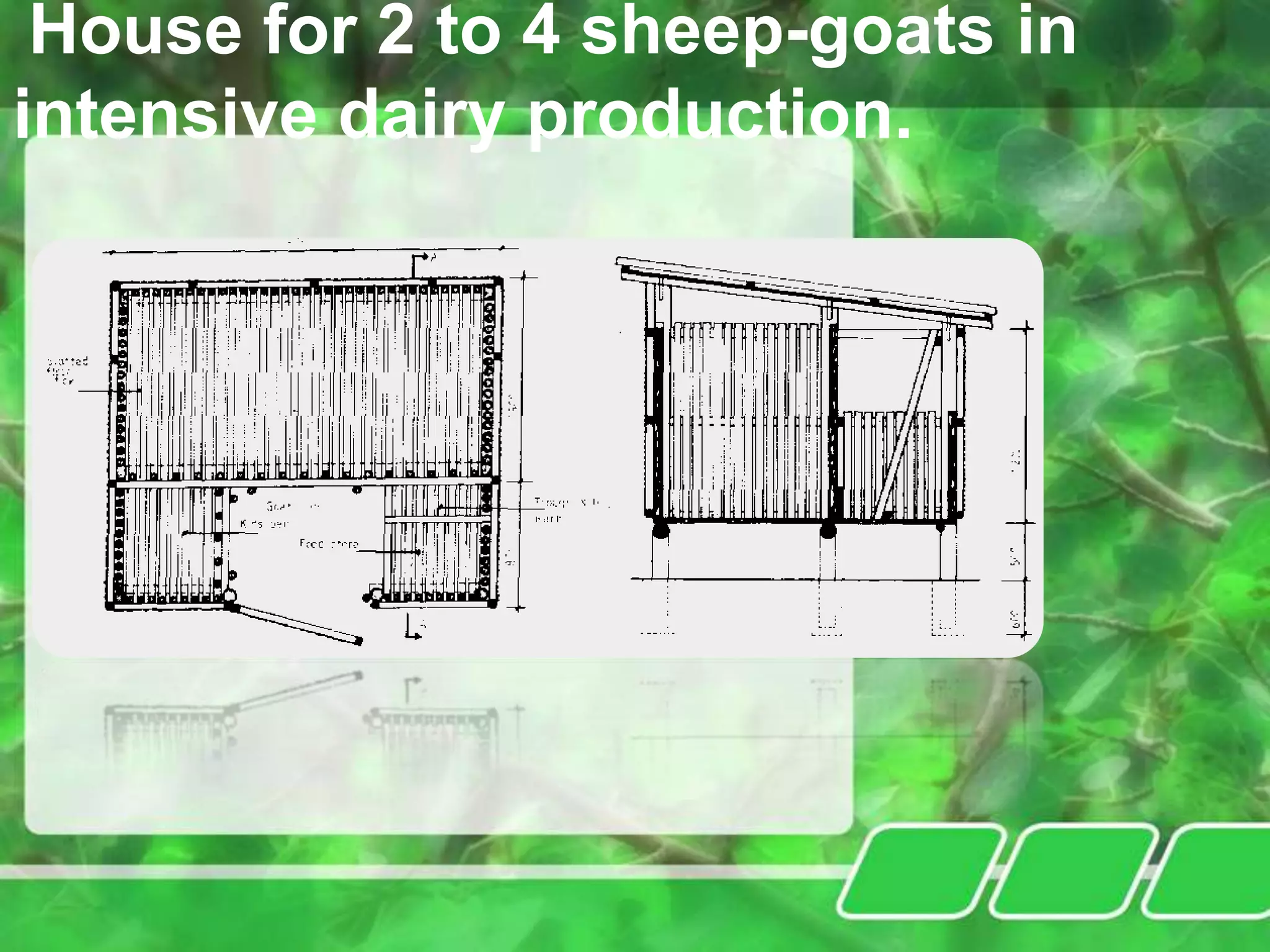 Goat Care And Management Irshad | PPTX