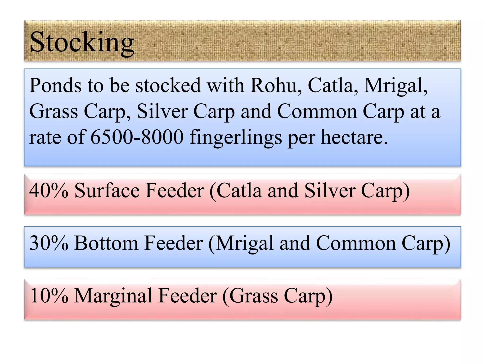 Goat cum fish farming | PPTX