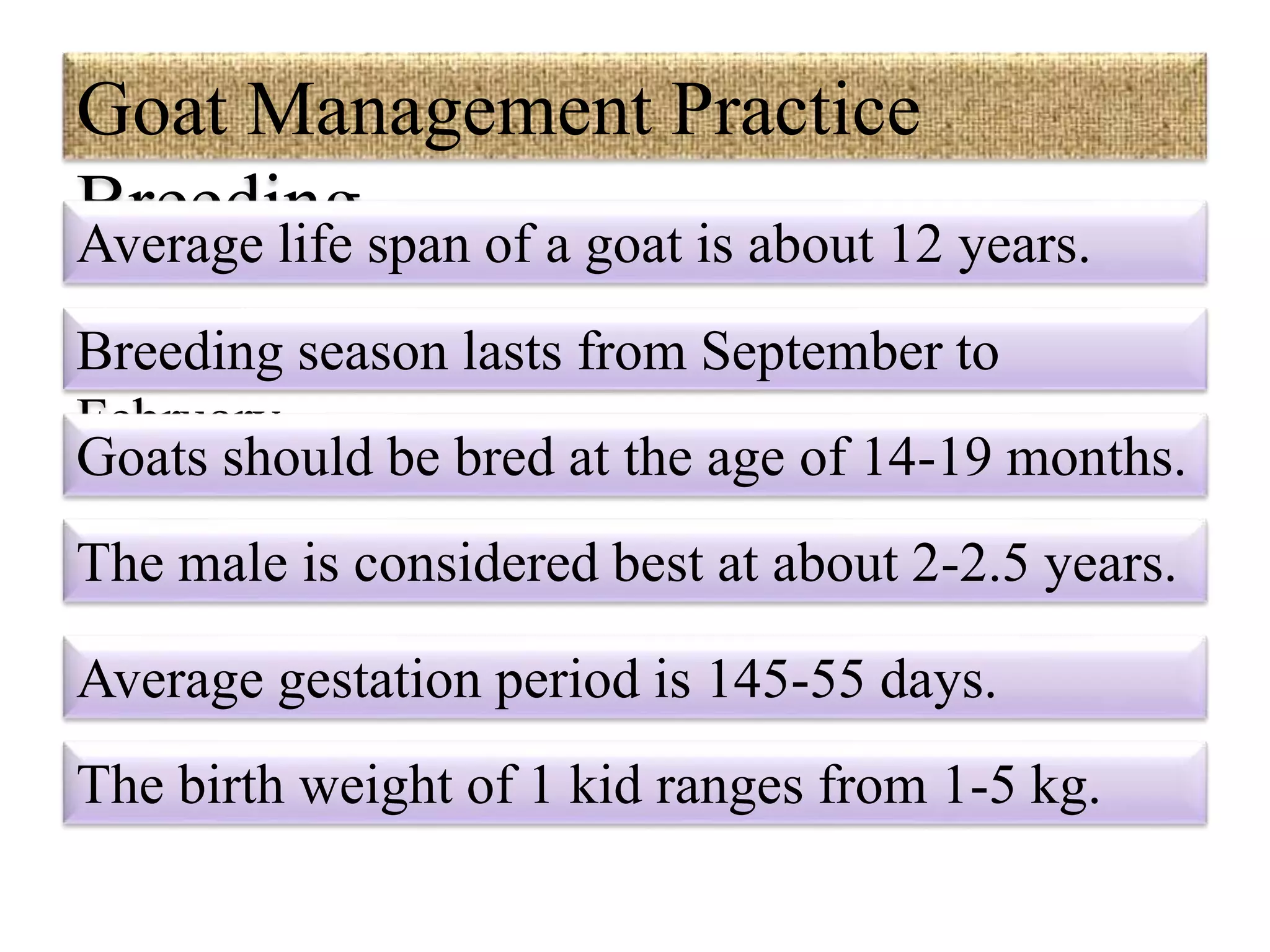 Goat cum fish farming | PPTX