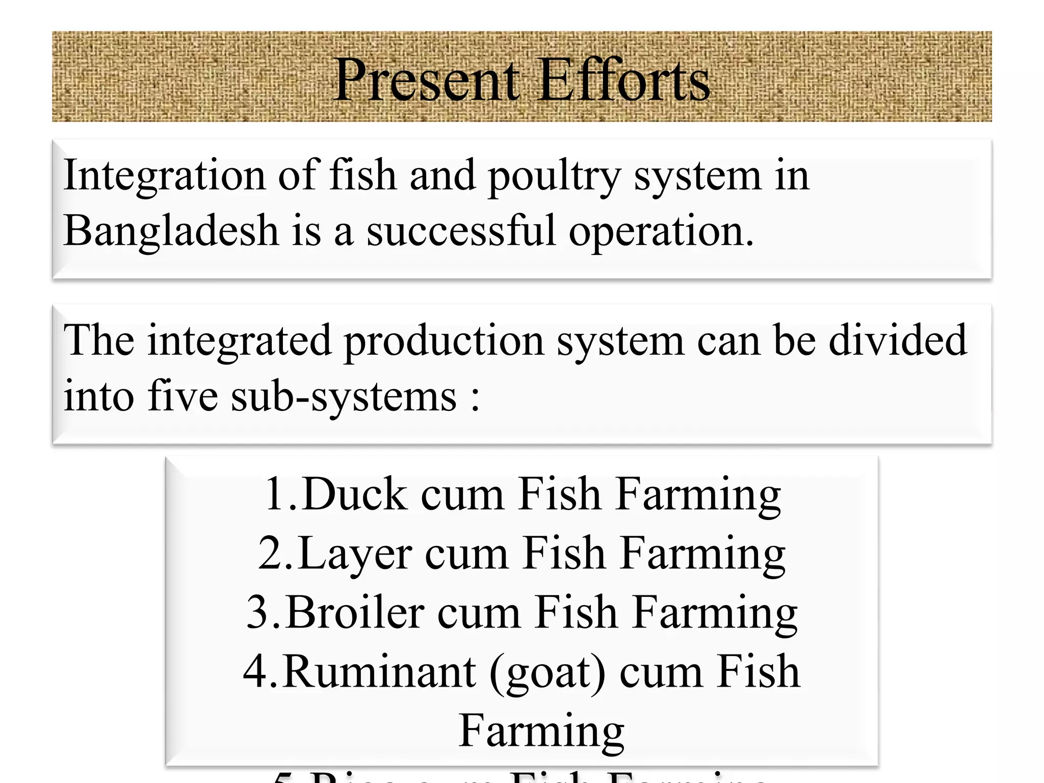 Goat cum fish farming | PPTX