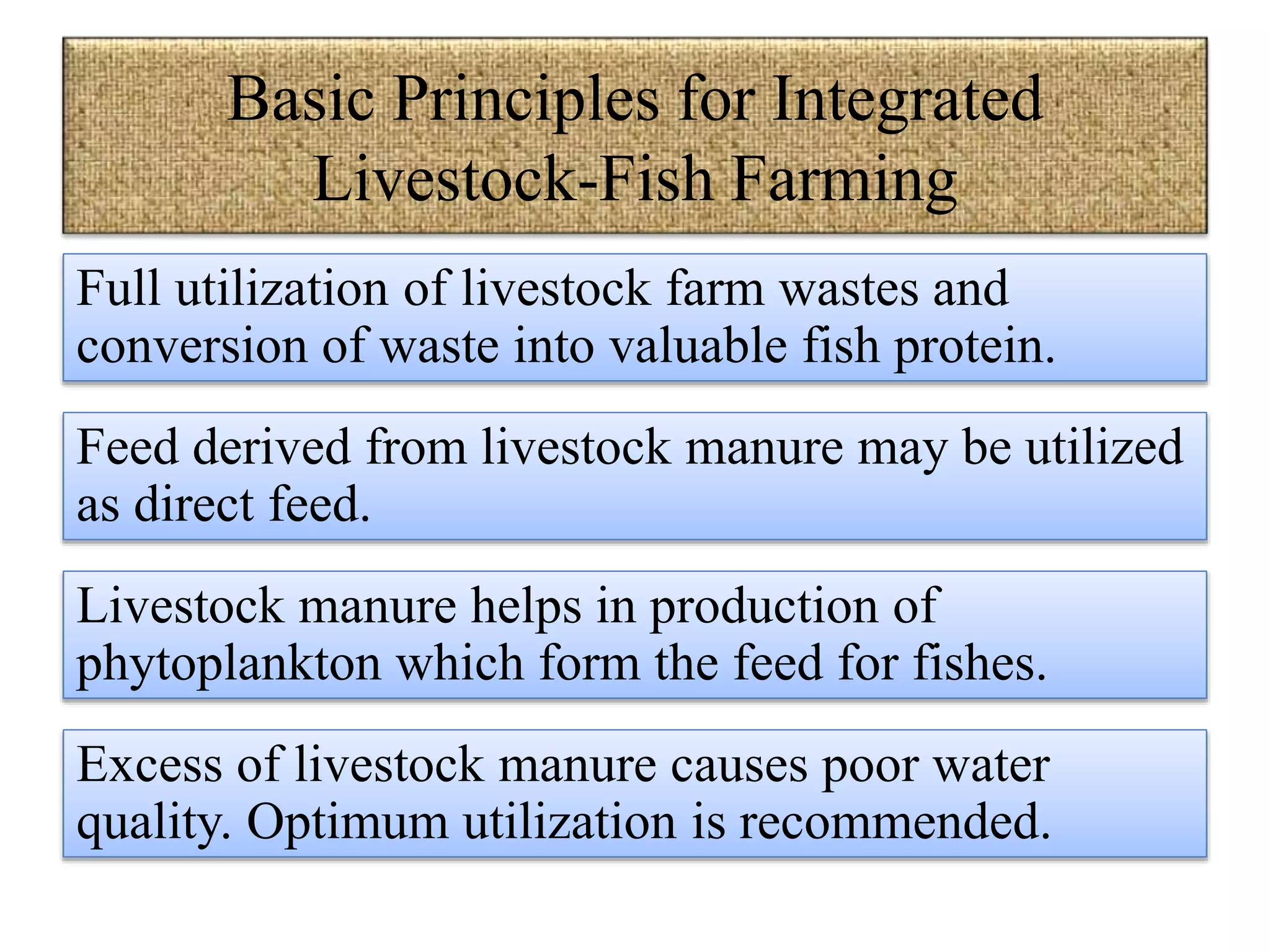 Goat cum fish farming | PPTX