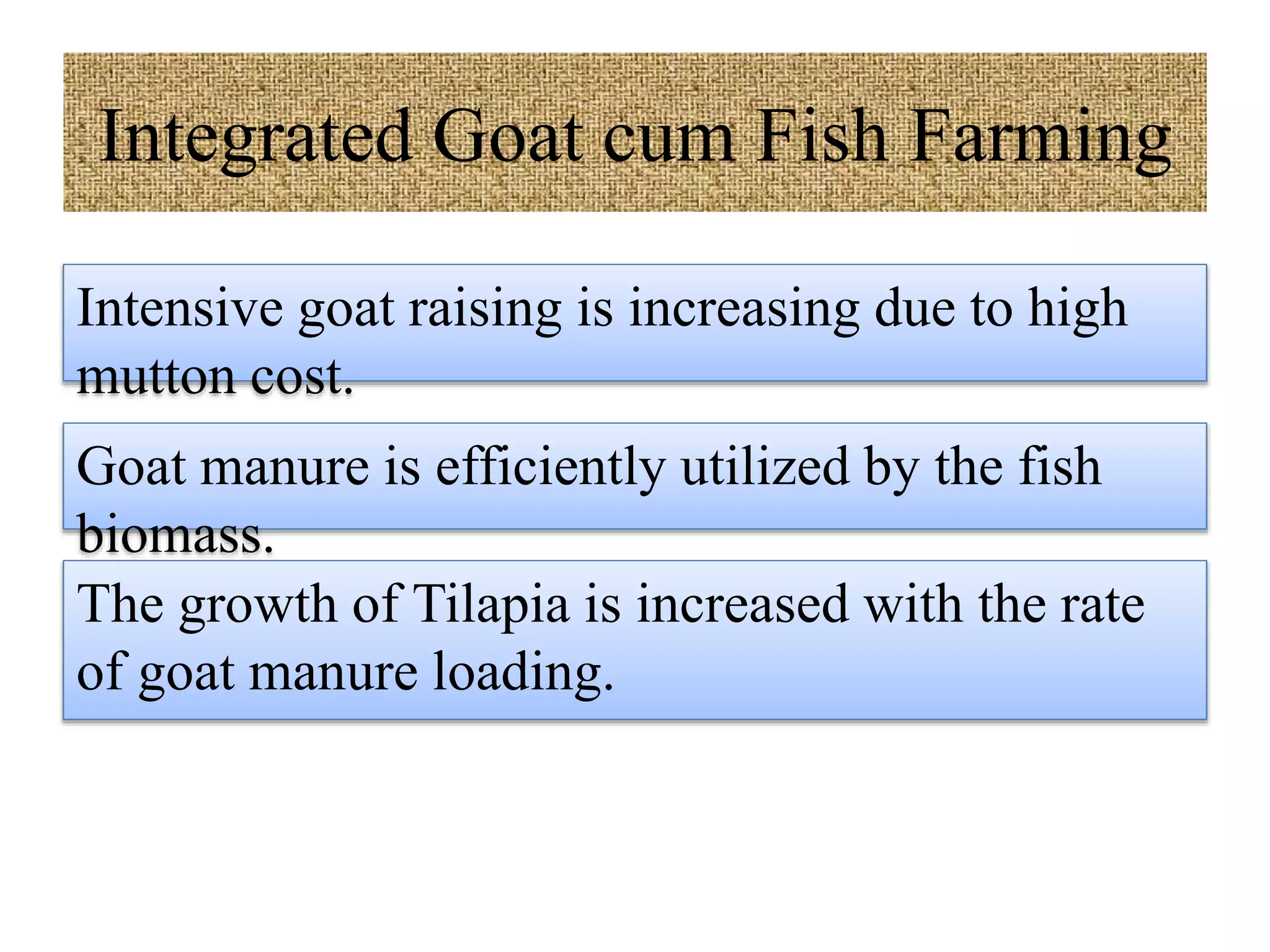 Goat cum fish farming | PPTX