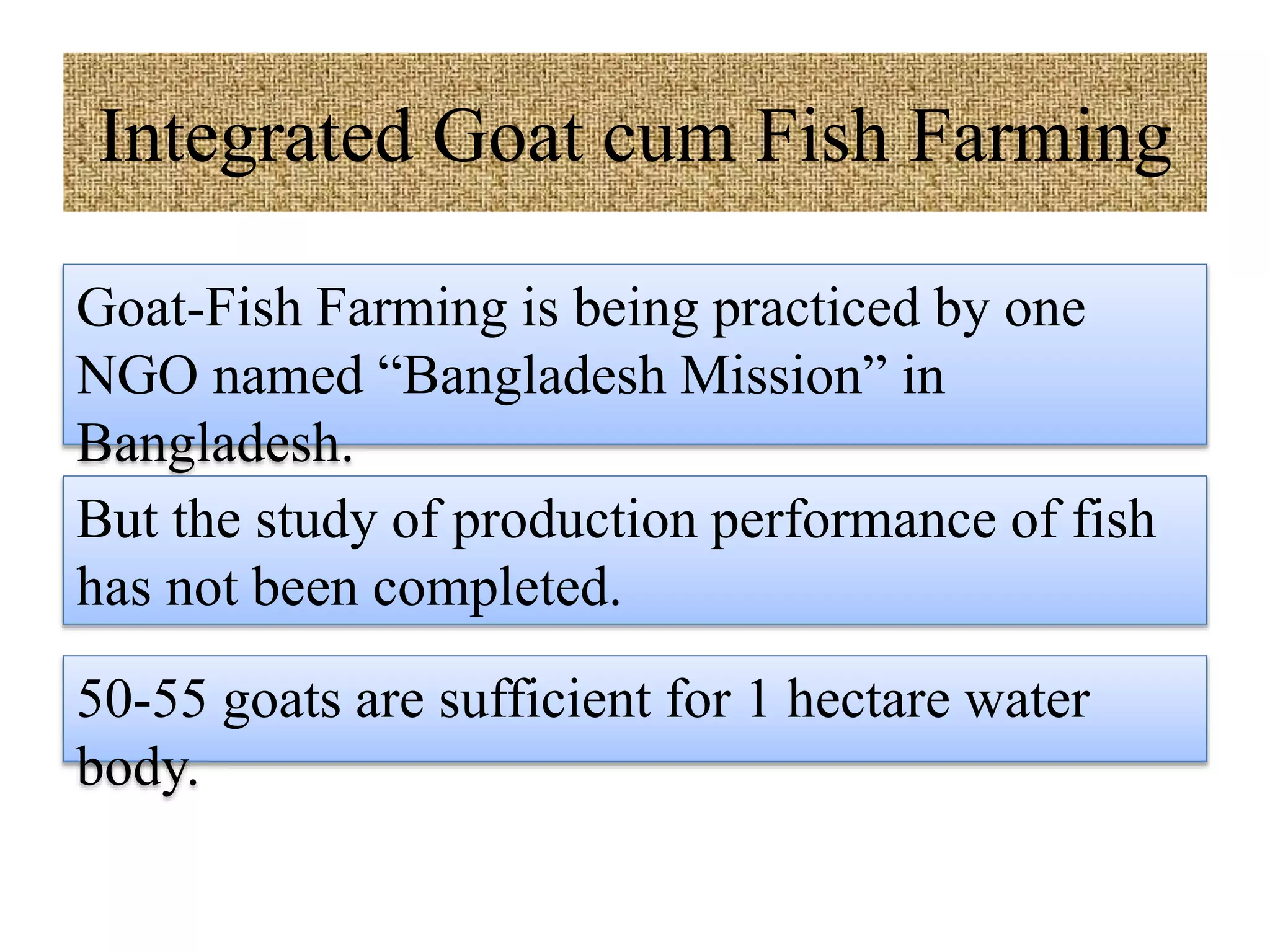 Goat cum fish farming | PPTX