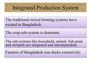 Goat cum fish farming | PPTX