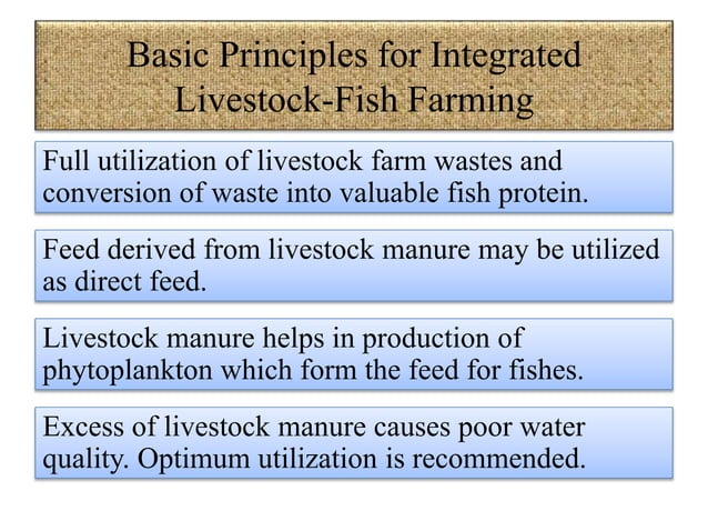 Goat cum fish farming | PPTX | Agriculture | Industries