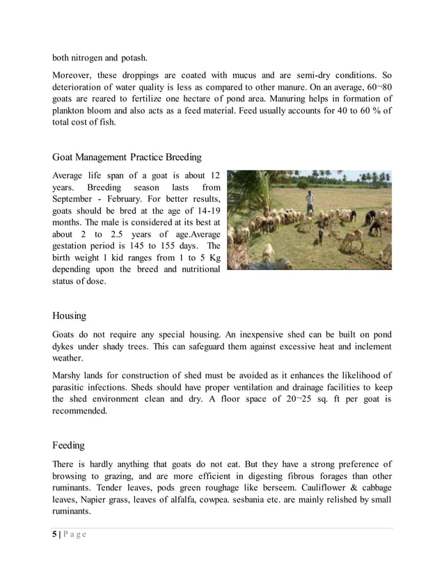 Goat cum Fish Farming - Present Status and Prospect in Bangladesh ...