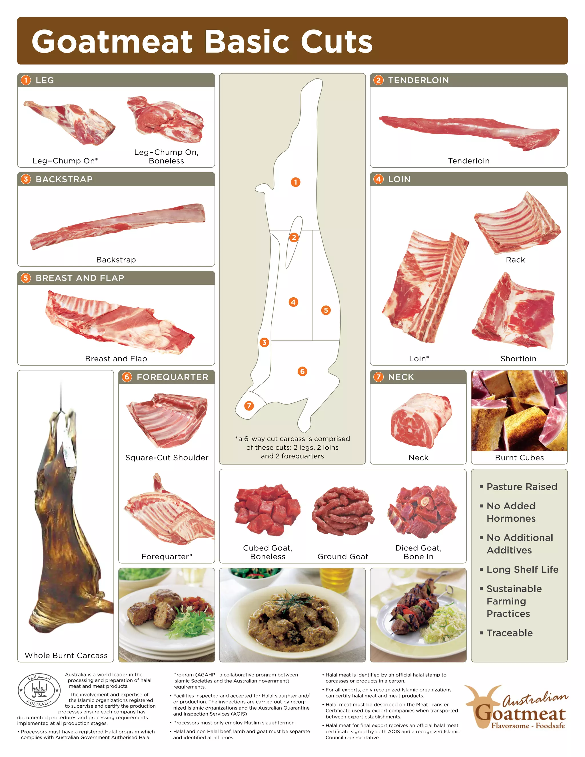Goat Cut Chart En Sp | PDF