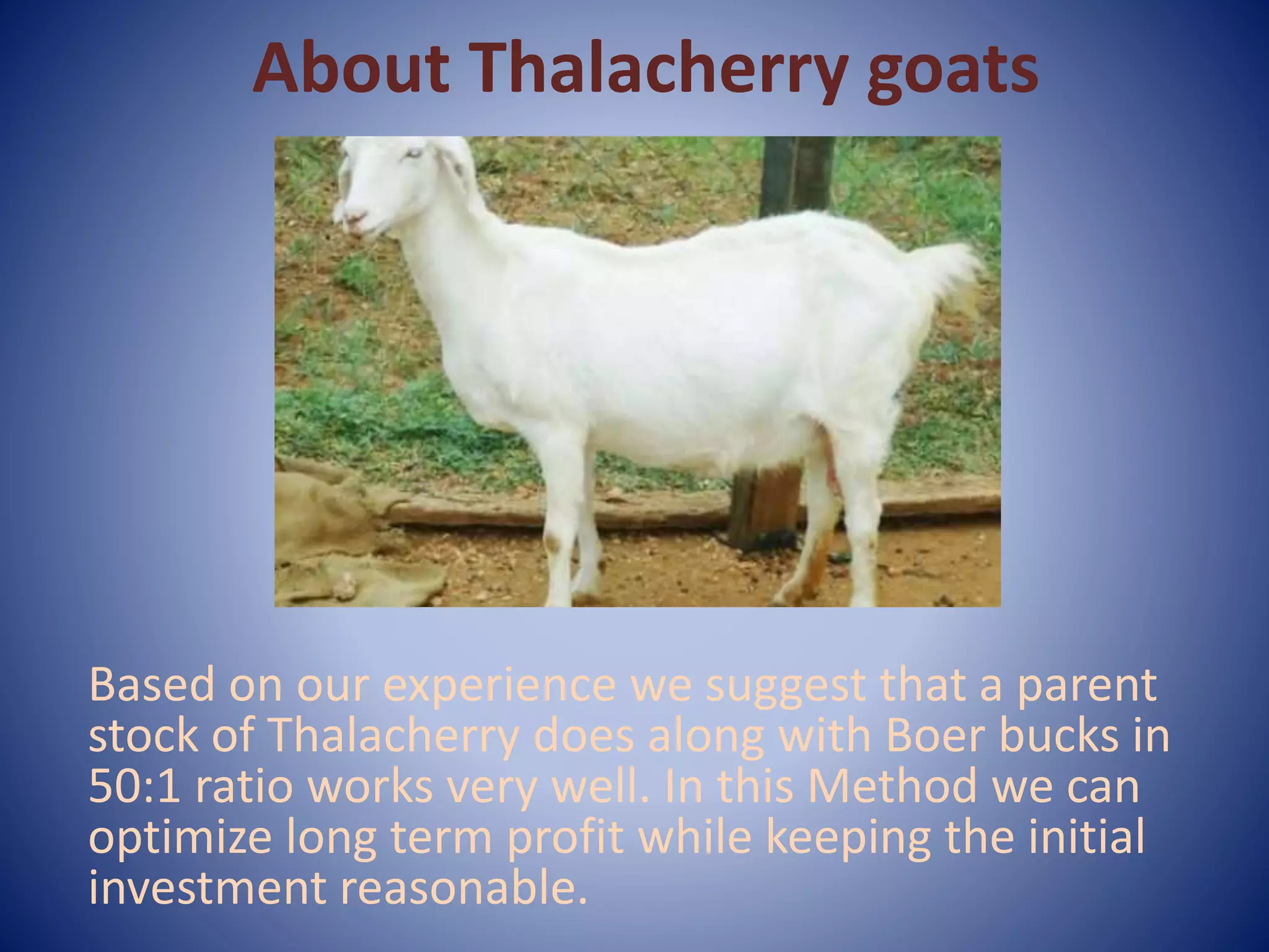 Goat farm | PPT