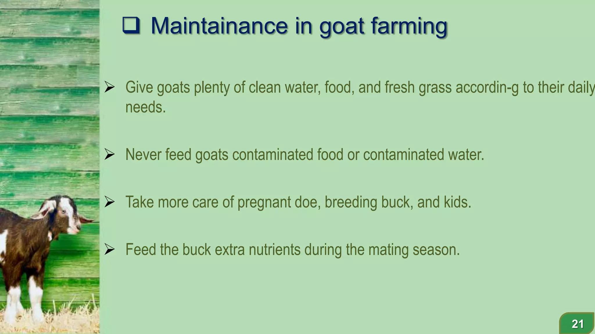 GOAT FARMIG final ppt.pptx