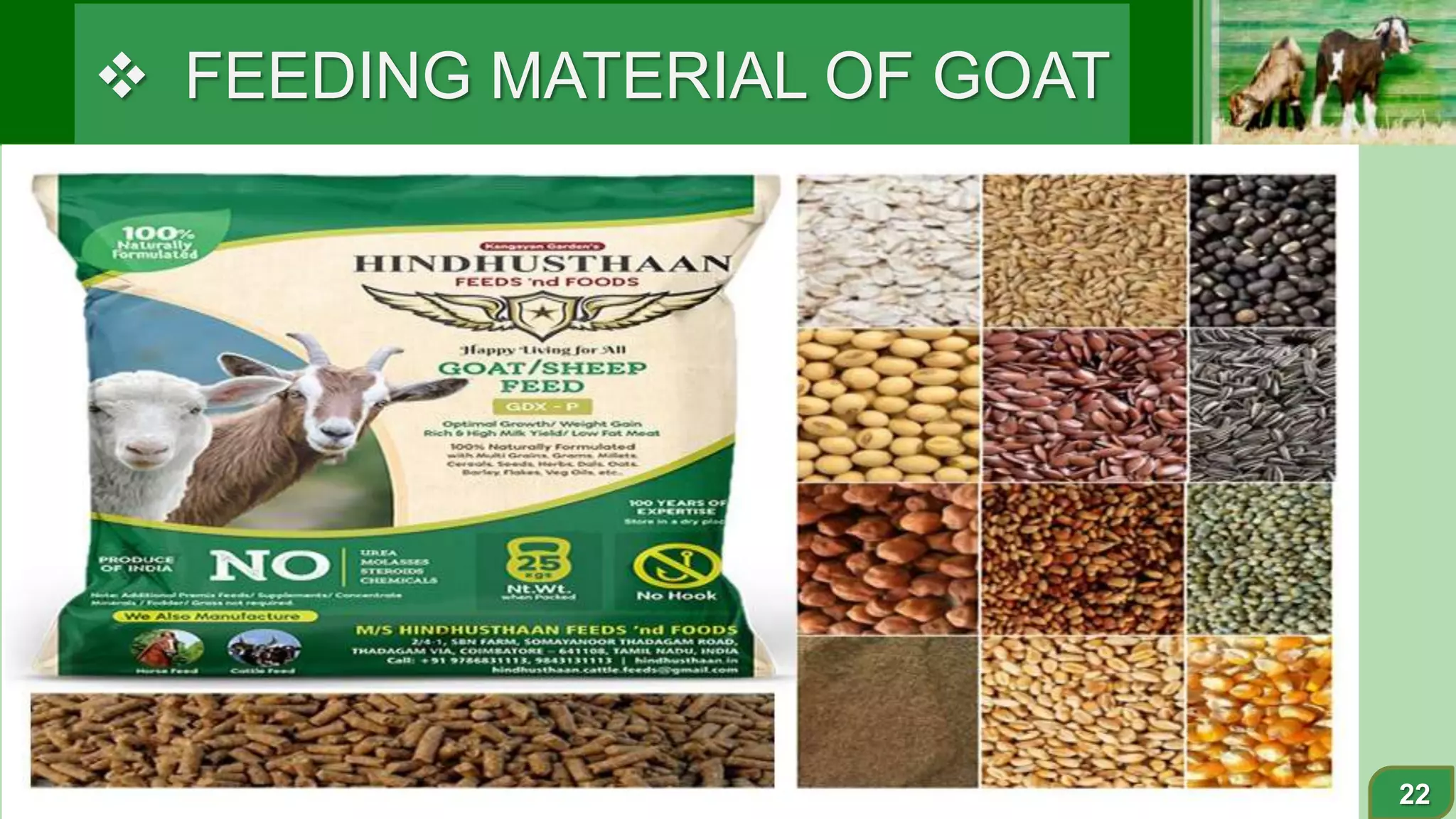 GOAT FARMIG final ppt.pptx