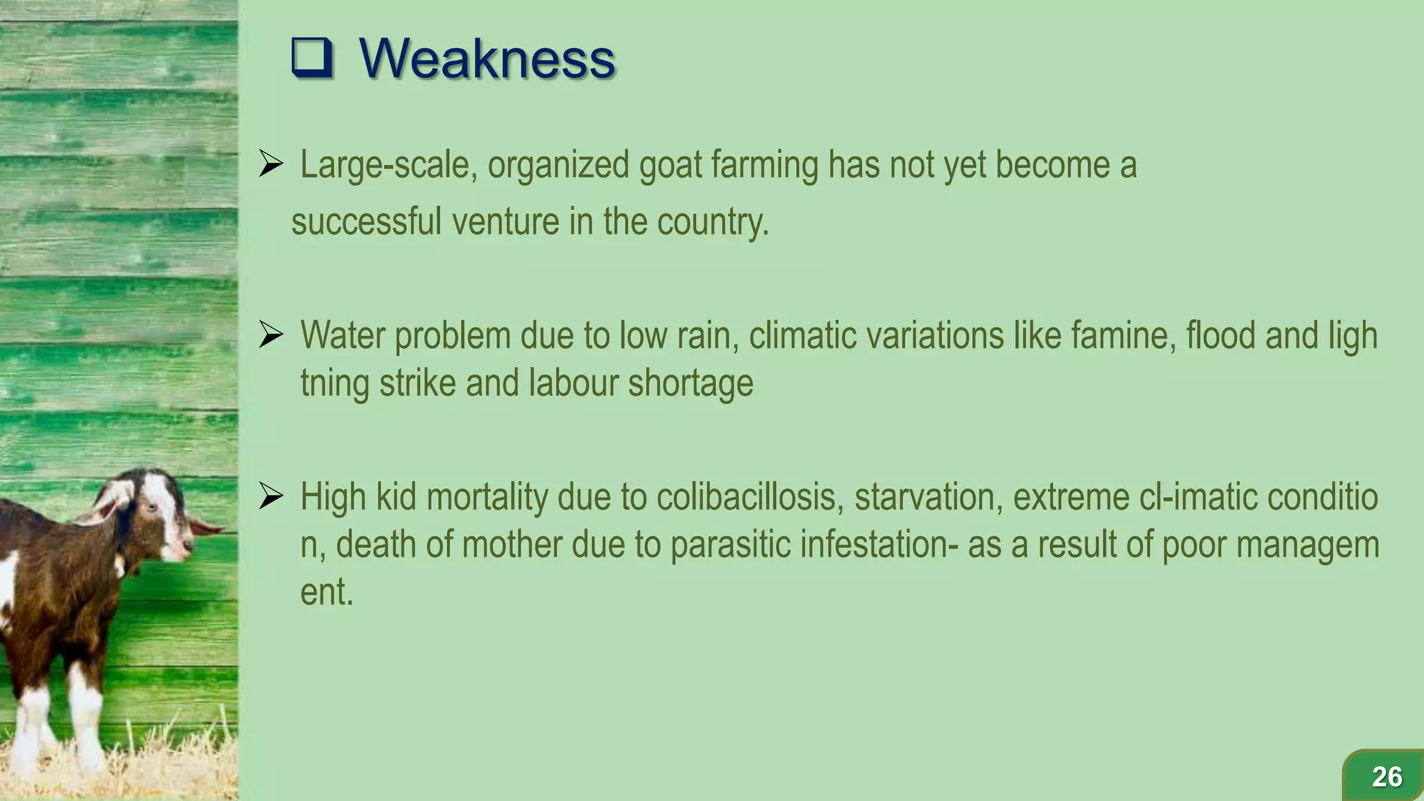 GOAT FARMIG final ppt.pptx