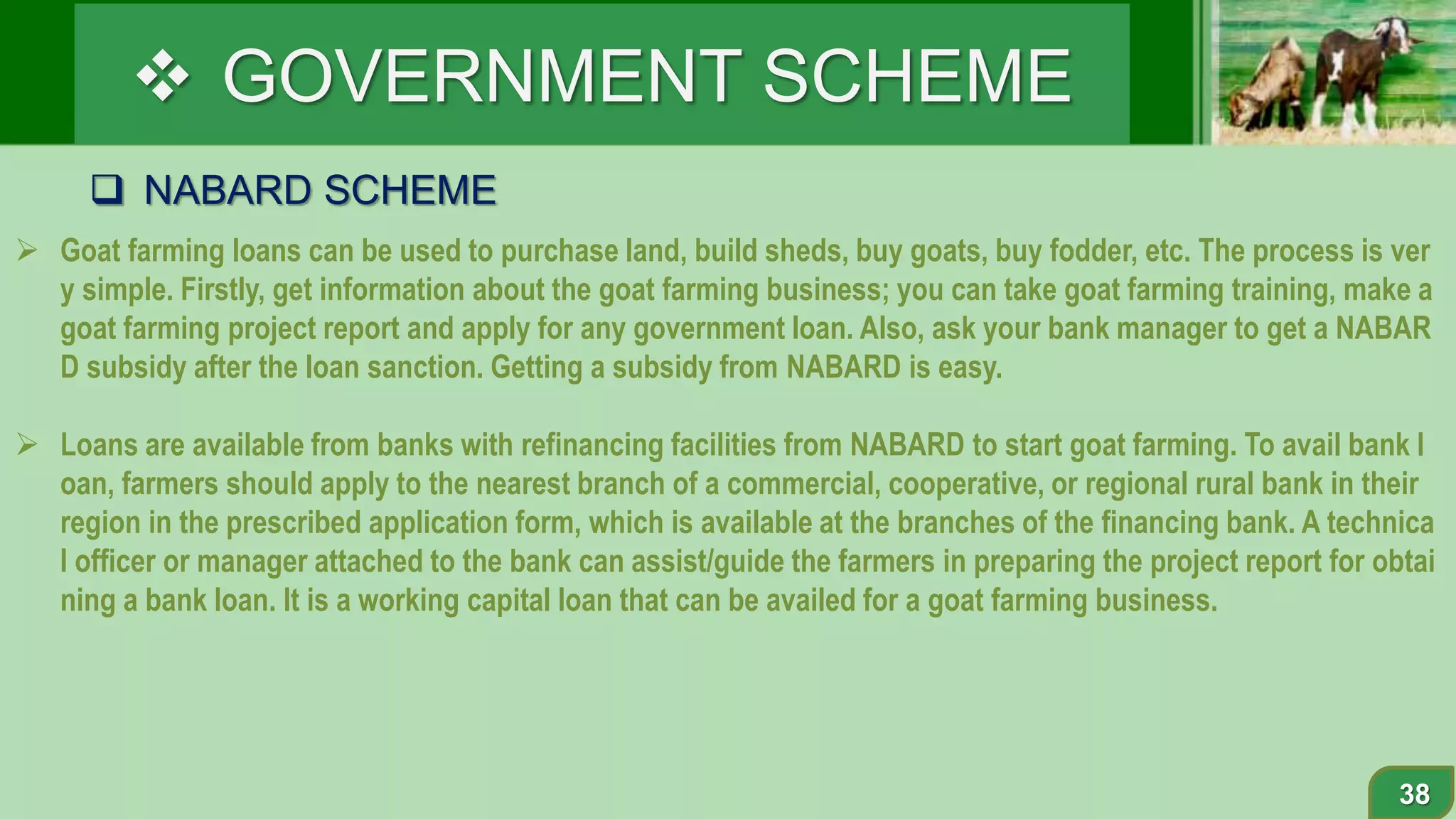 GOAT FARMIG final ppt.pptx
