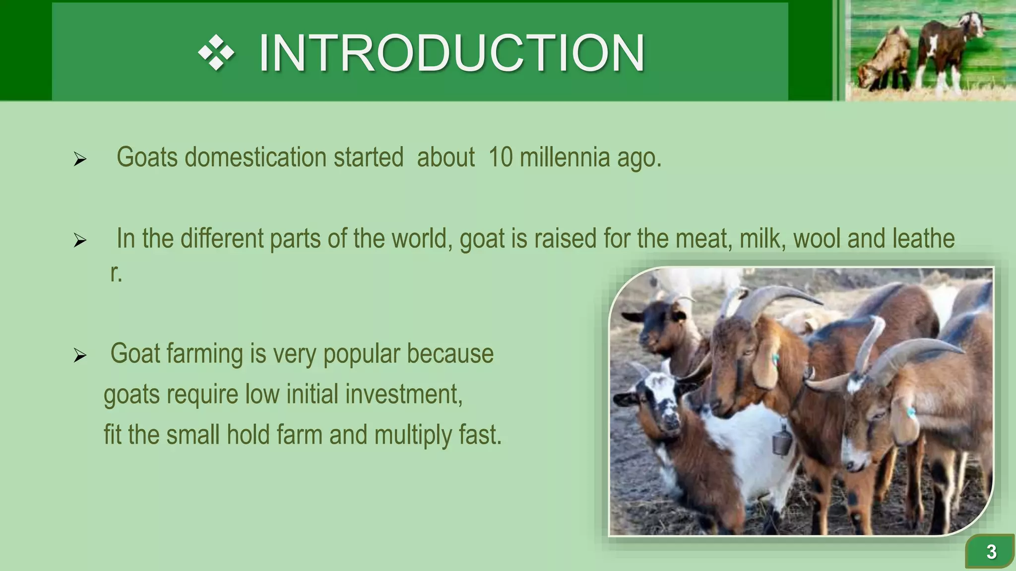 GOAT FARMIG final ppt.pptx