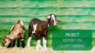 GOAT FARMIG final ppt.pptx