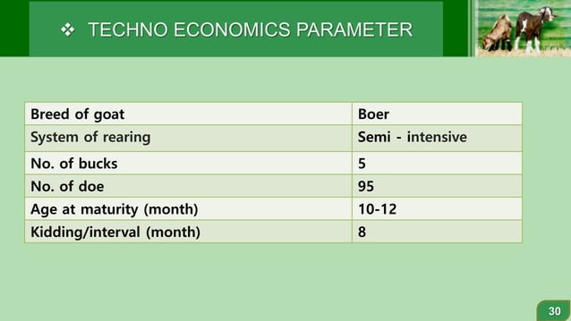 GOAT FARMIG final ppt.pptx