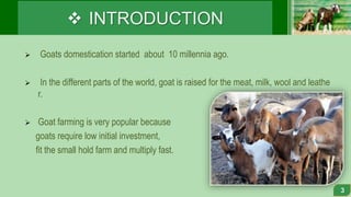 GOAT FARMIG final ppt.pptx