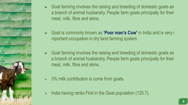 GOAT FARMIG final ppt.pptx