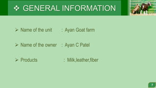 GOAT FARMIG final ppt.pptx