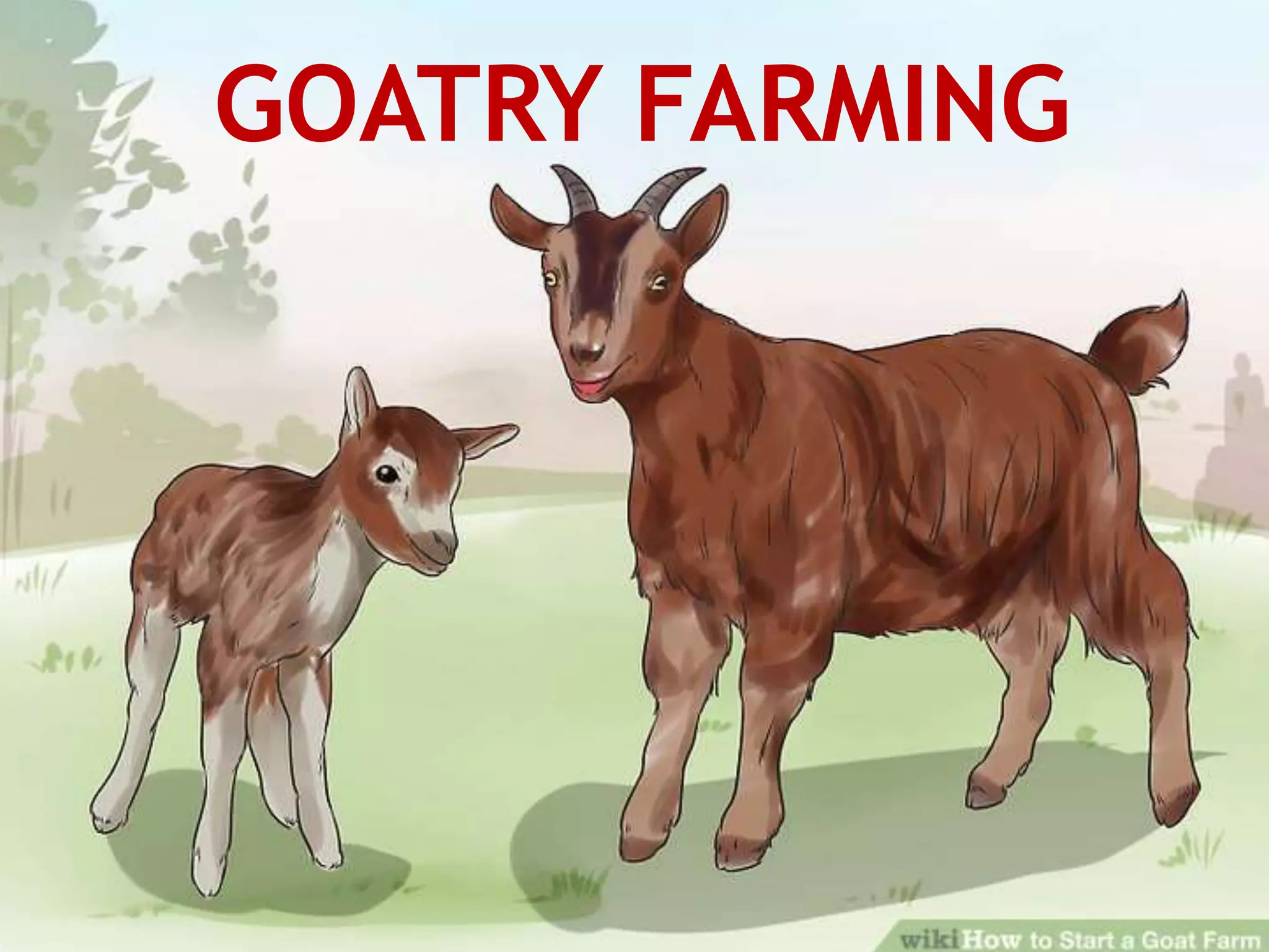 Goat farming | PPTX