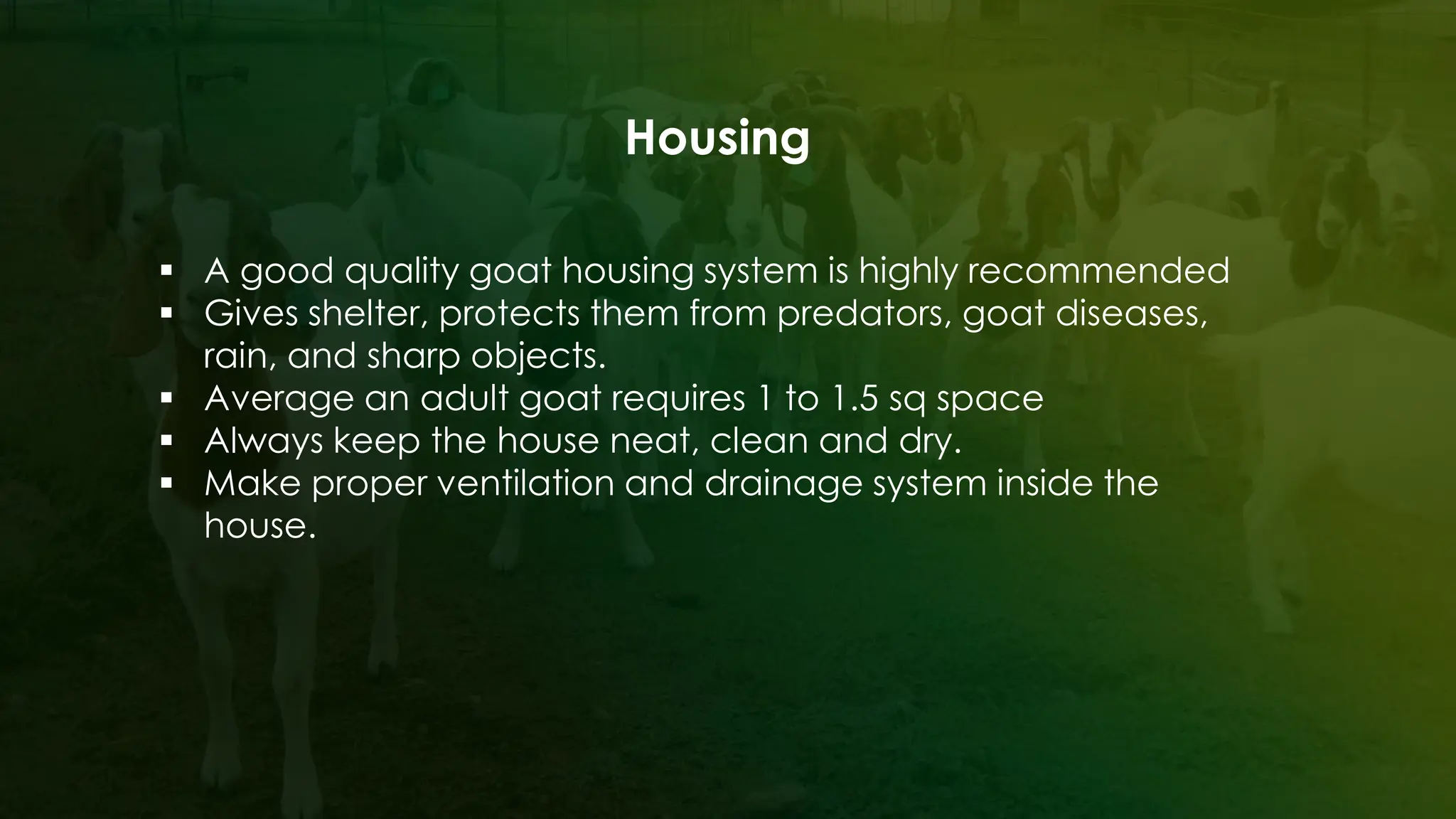 Goat Farming - Kenya.pptx