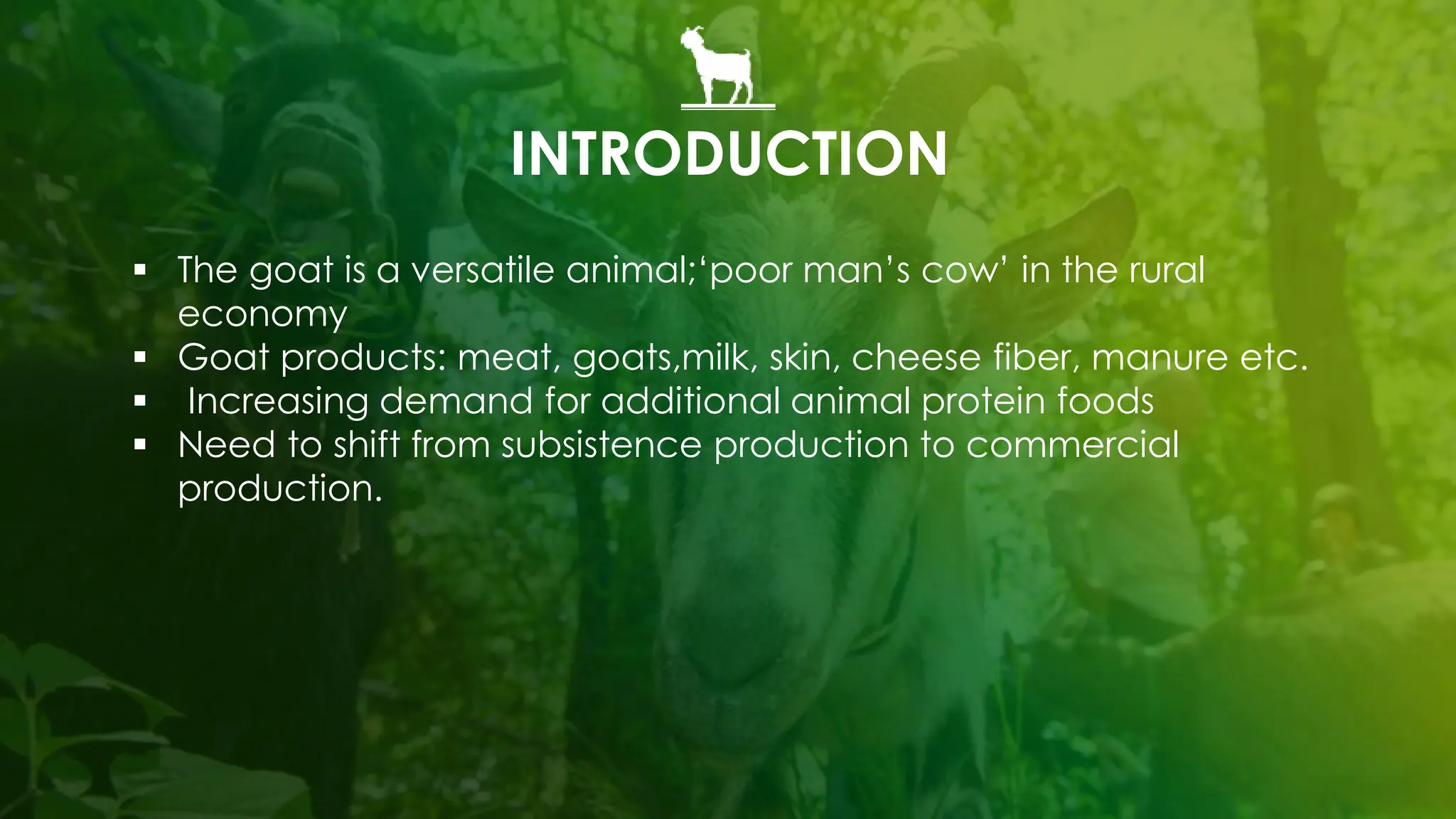 Goat Farming - Kenya.pptx